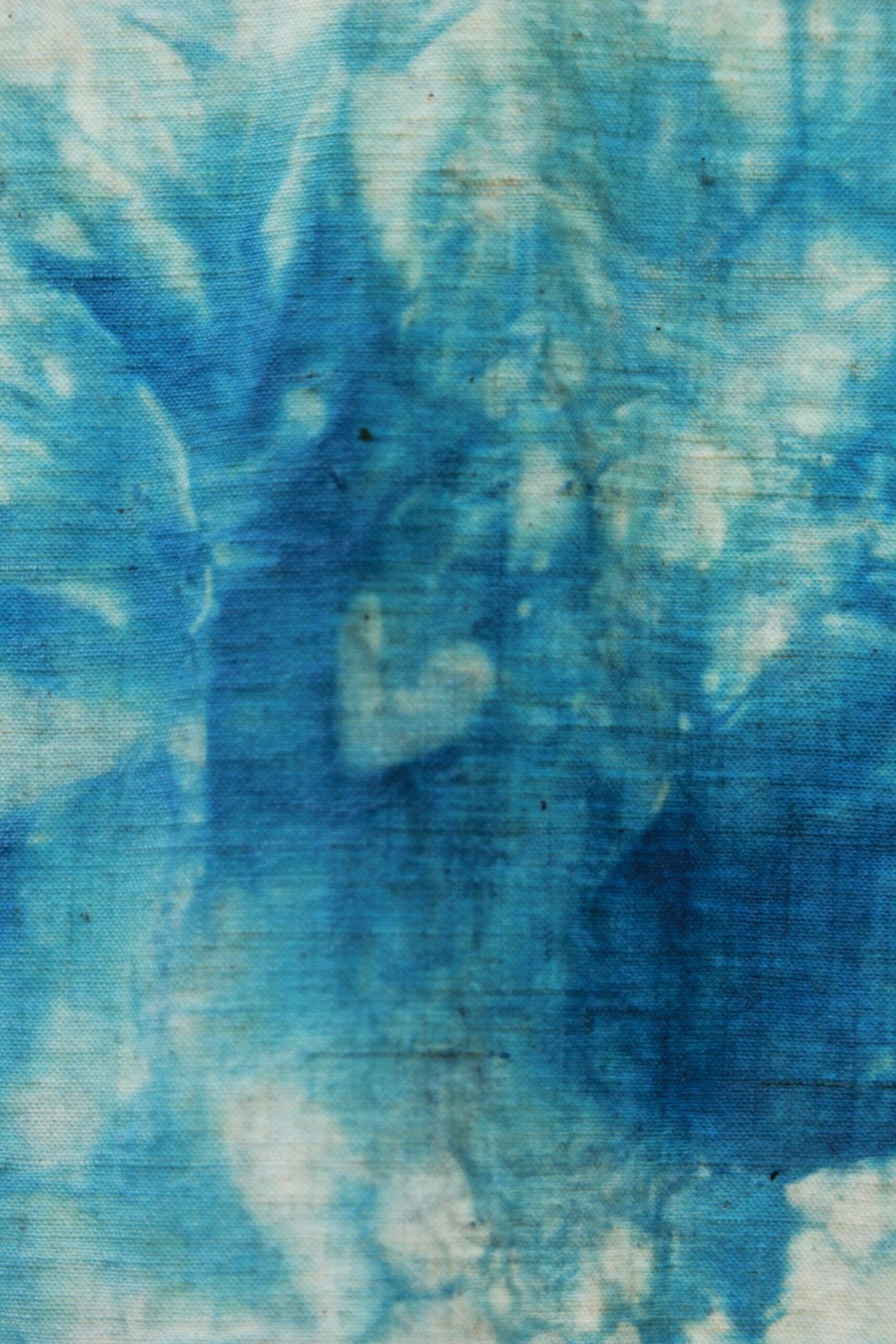 Rencontre avec India Flint : Semaine d’Exploration de la Teinture, des ...
